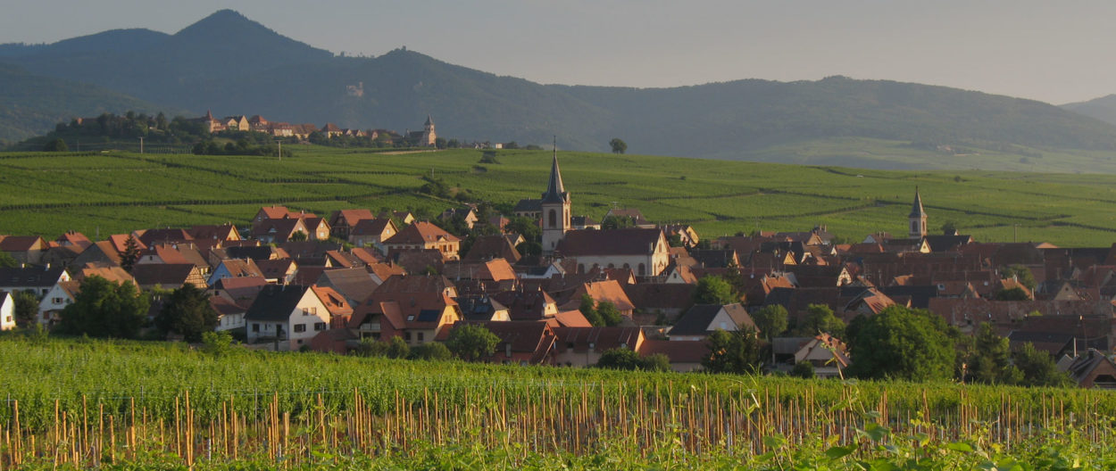 Beblenheim - Geovino